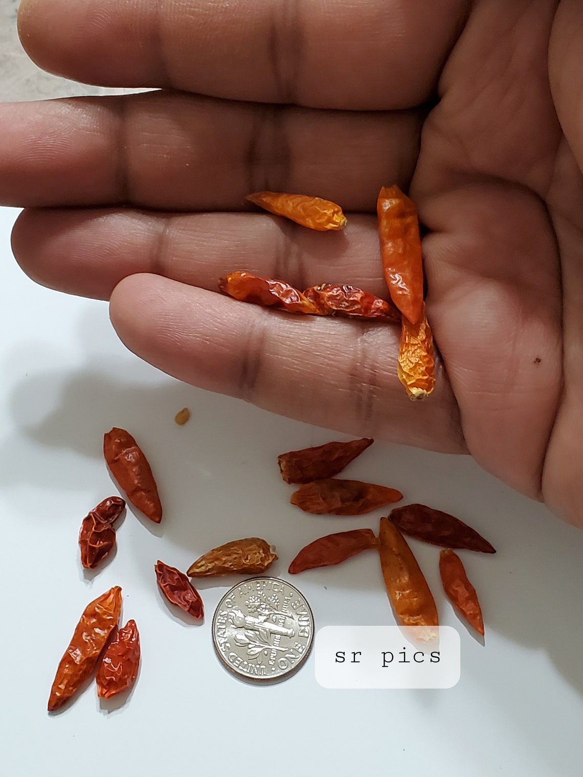 HEIRLOOM Hot Pepper Seeds 6 Varieties Pack PREMIUM Strain 100% | Etsy