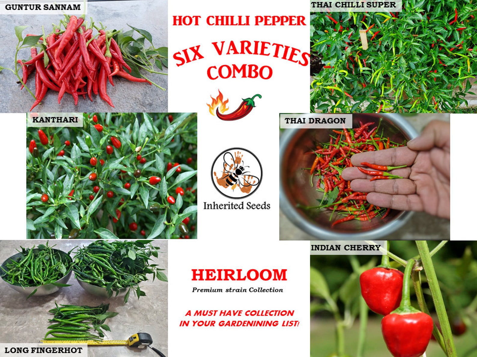 HEIRLOOM Hot Pepper Seeds 6 Varieties Pack PREMIUM Strain 100% | Etsy
