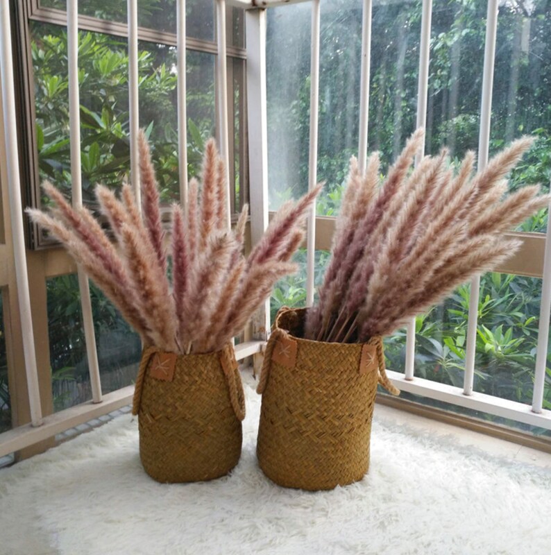 24" Pink Pampas Grass: Dried Floral Boho Decor - Etsy