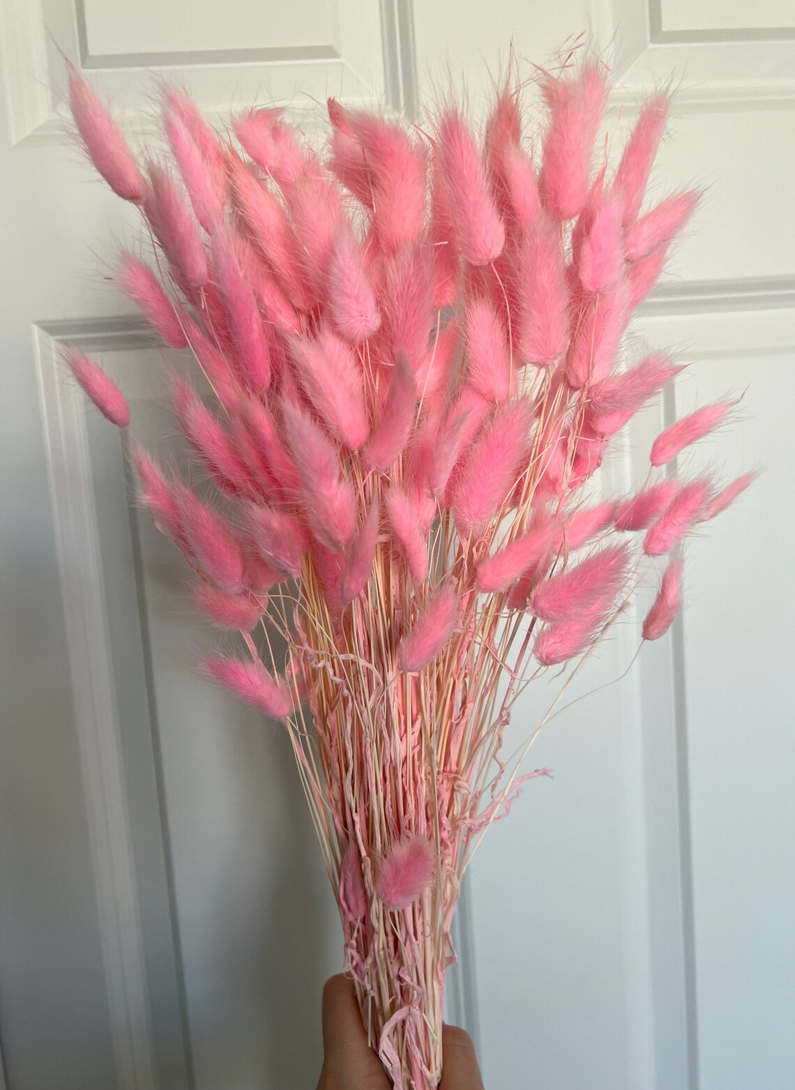 Pink Bunny Tails Rabbit Tails Dried Flowers for Boho - Etsy