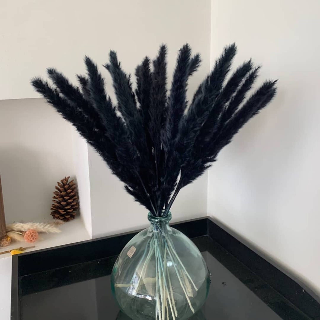 Black Pampas Grass 24 Black Pampas Grass Dried Flowers For Interior Decor Wedding Floral