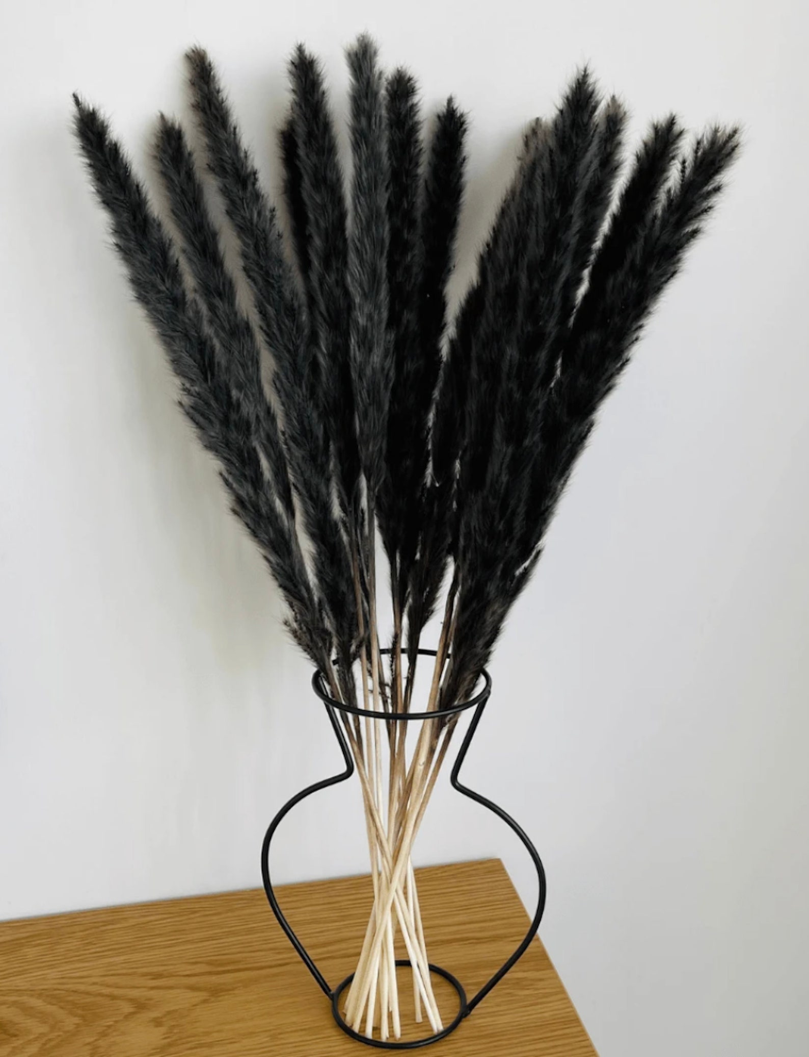 Black Pampas Grass 24 Black Pampas Grass Dried Etsy