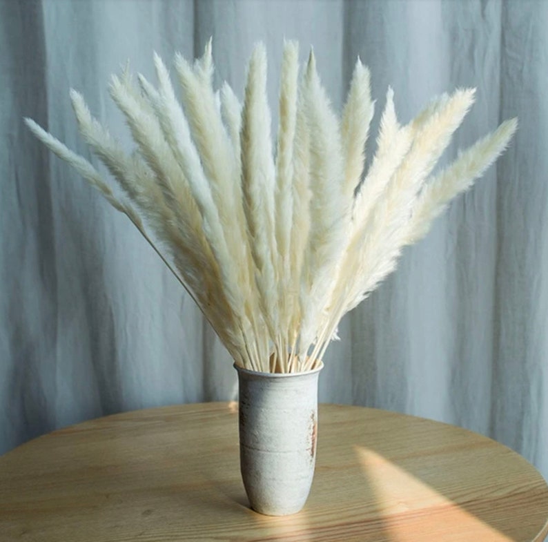 24" Pink Pampas Grass: Dried Floral Boho Decor - Etsy