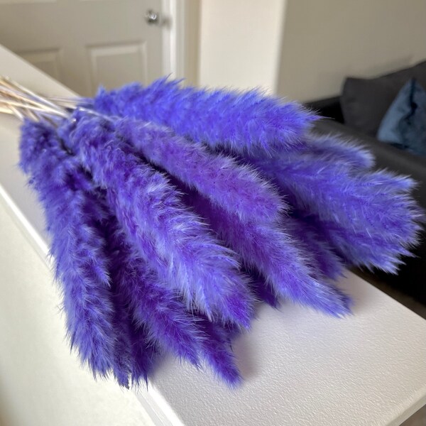 Pampas Grass Decor - Shop Online - Etsy