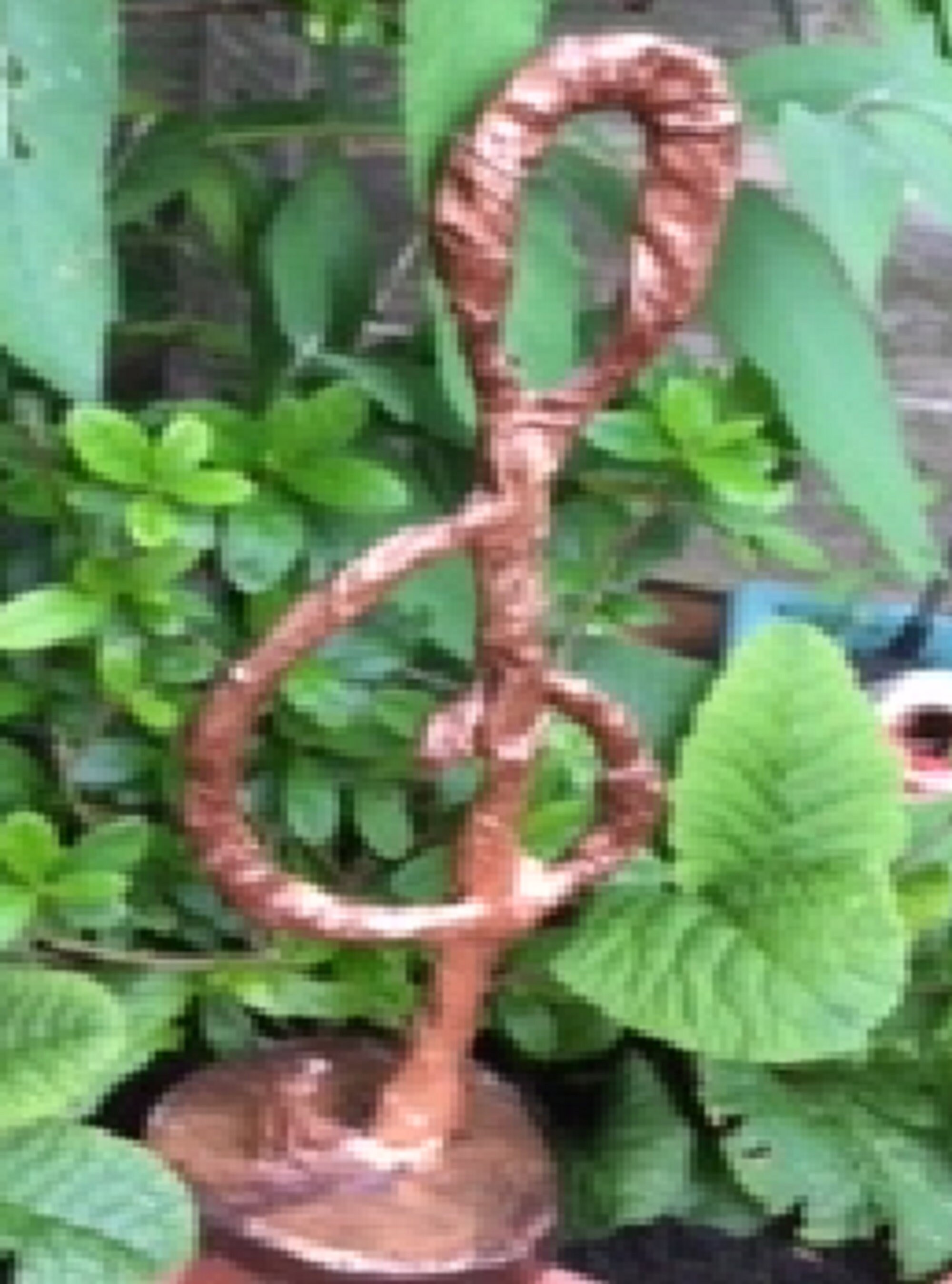 Treble Clef Bronze Coloured Musical Note Structure, Garden Ornament ...