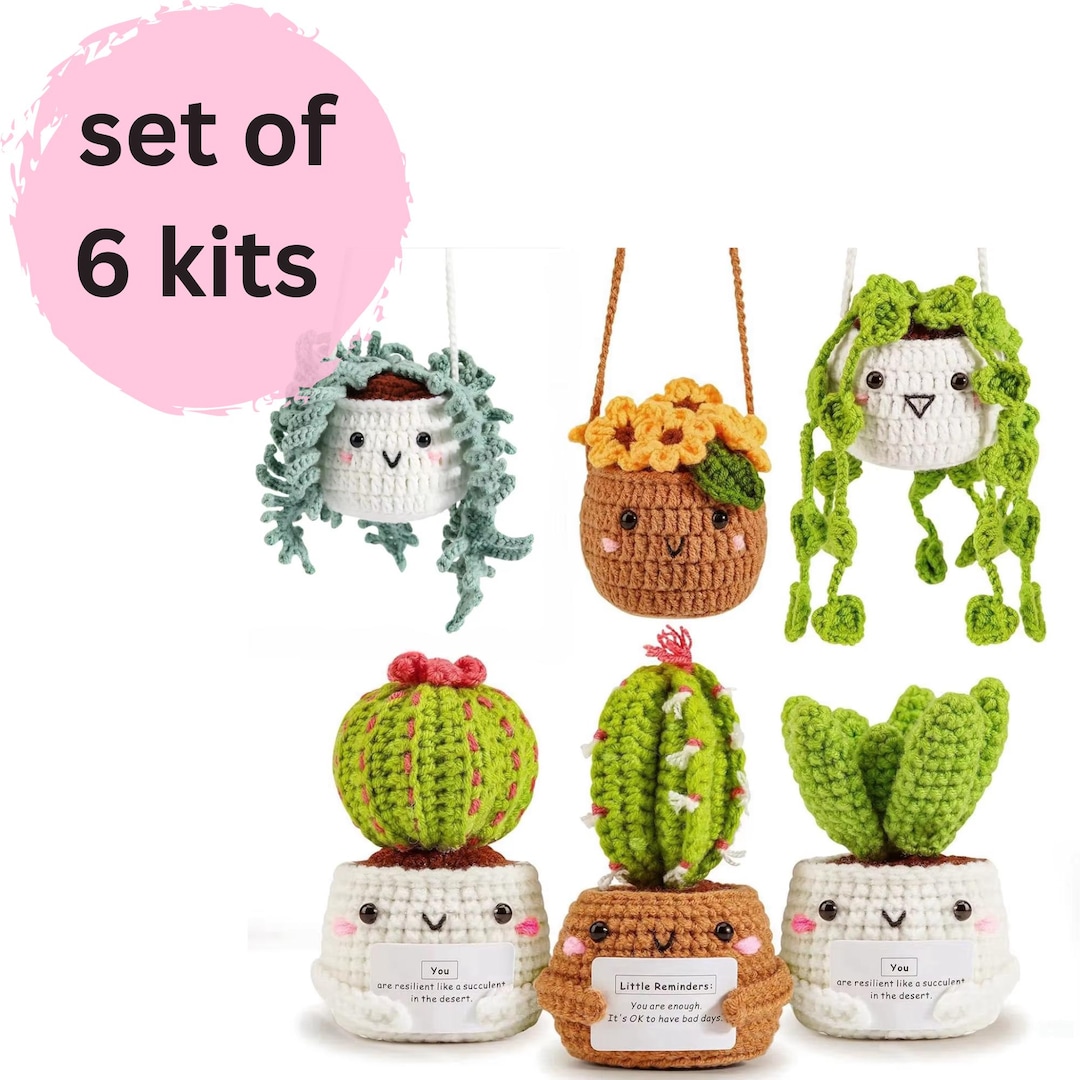 Plant Crochet Kit, Succulent Crochet Mini Hanging Plant Crochet Kit Car ...