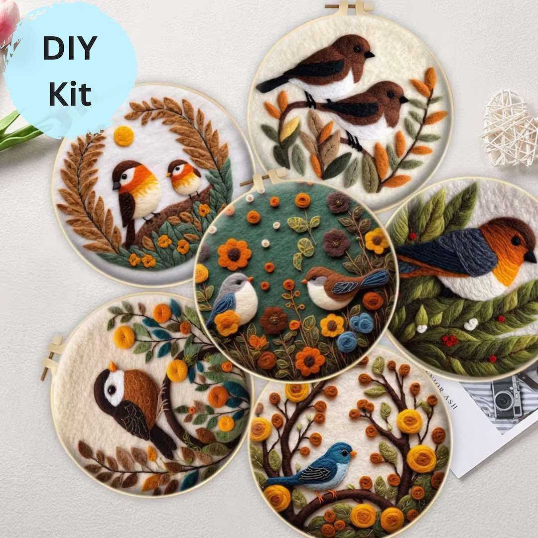 Needle Felting Kit Bird Wool Felting, Beginner Needlepoint Kit, DIY ...