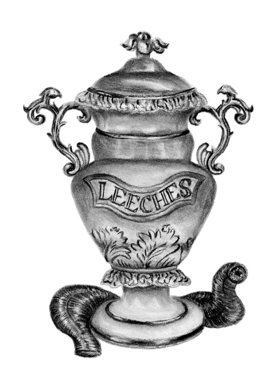 Victorian Leech Jar Charcoal Print 5x7 Giclee | Etsy