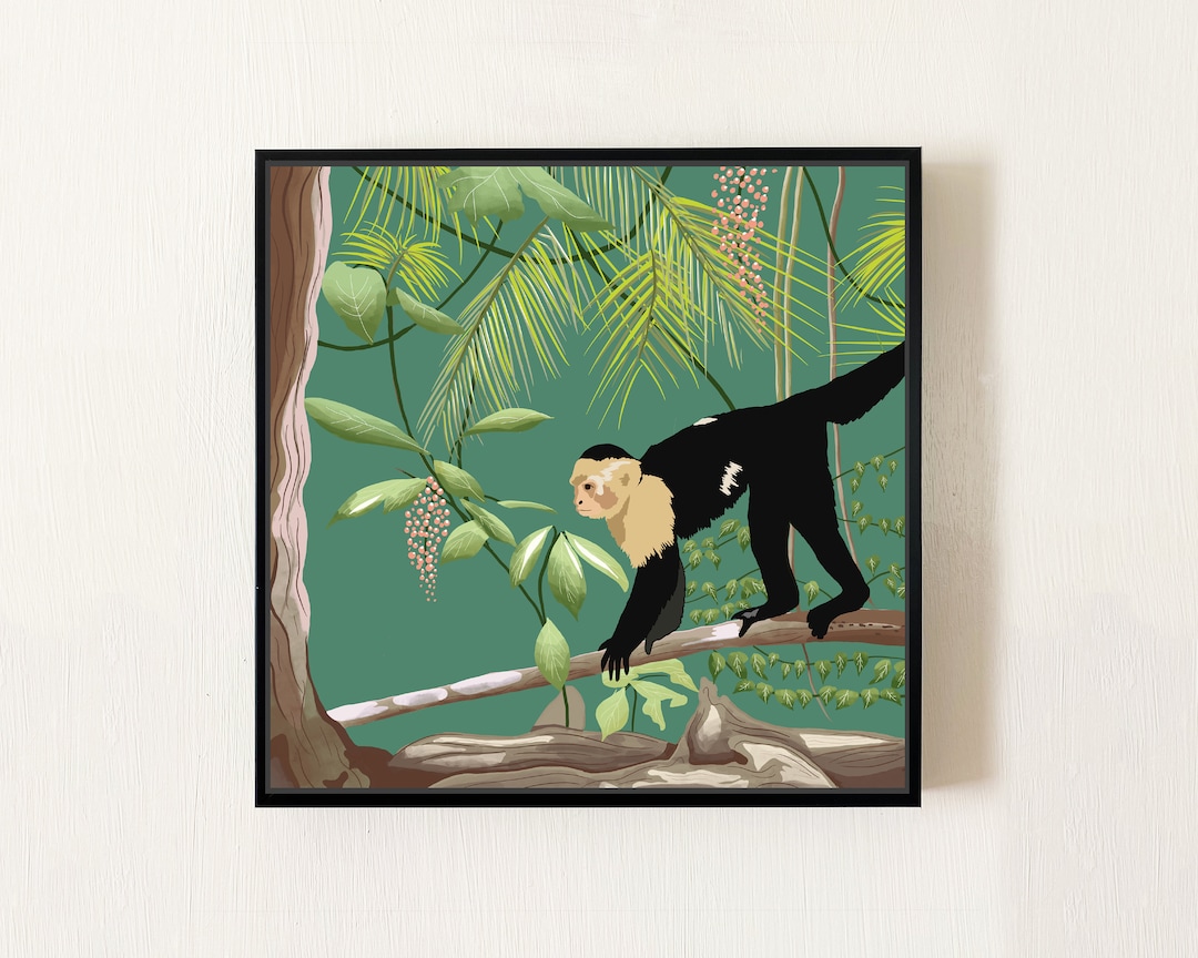 Capuchin Monkey Art Print - Jungle Wall Art - Etsy
