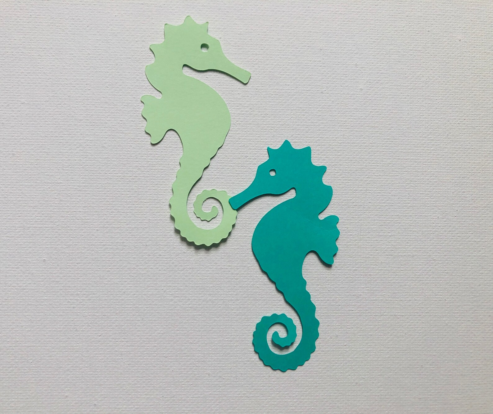 Seahorse Die Cut Seahorse Cut Out 24 Count | Etsy
