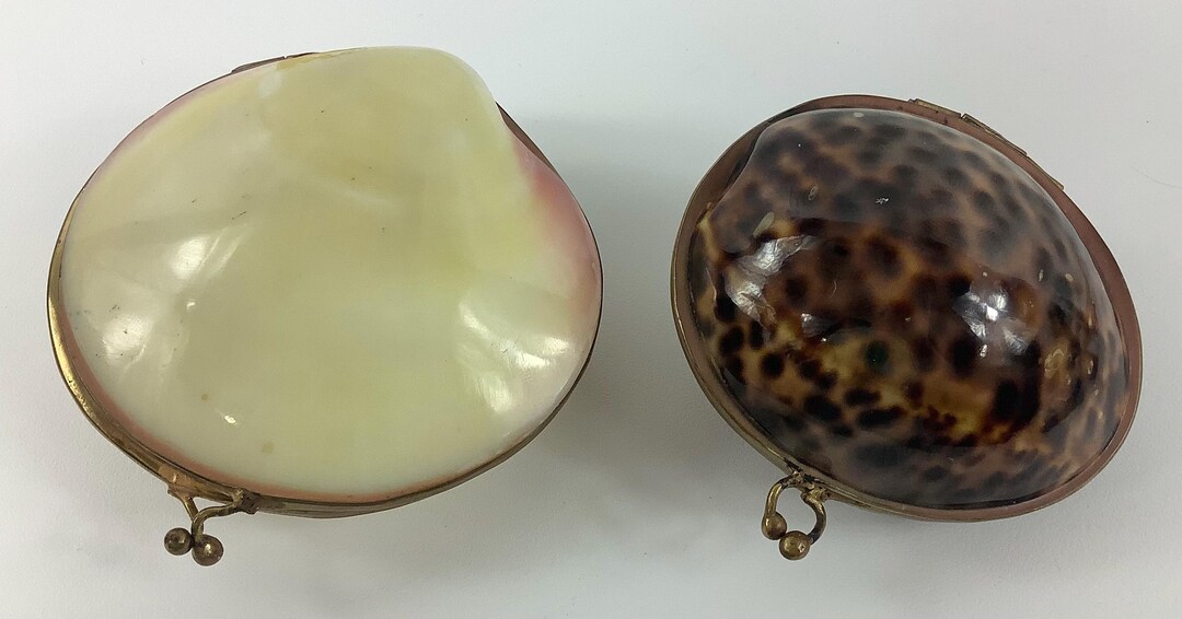 2-piece Vintage Natural Sea Shell Coin Purse Trinket Box Ocean Nautical ...