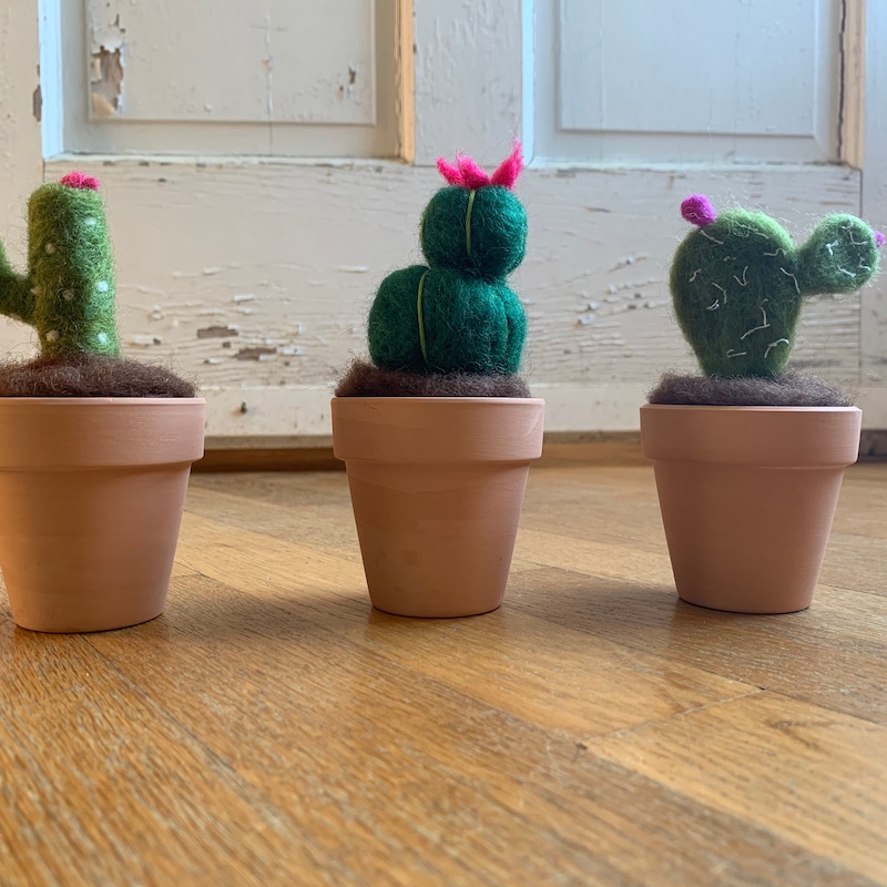 Needle Felted Cactus Mini - Etsy