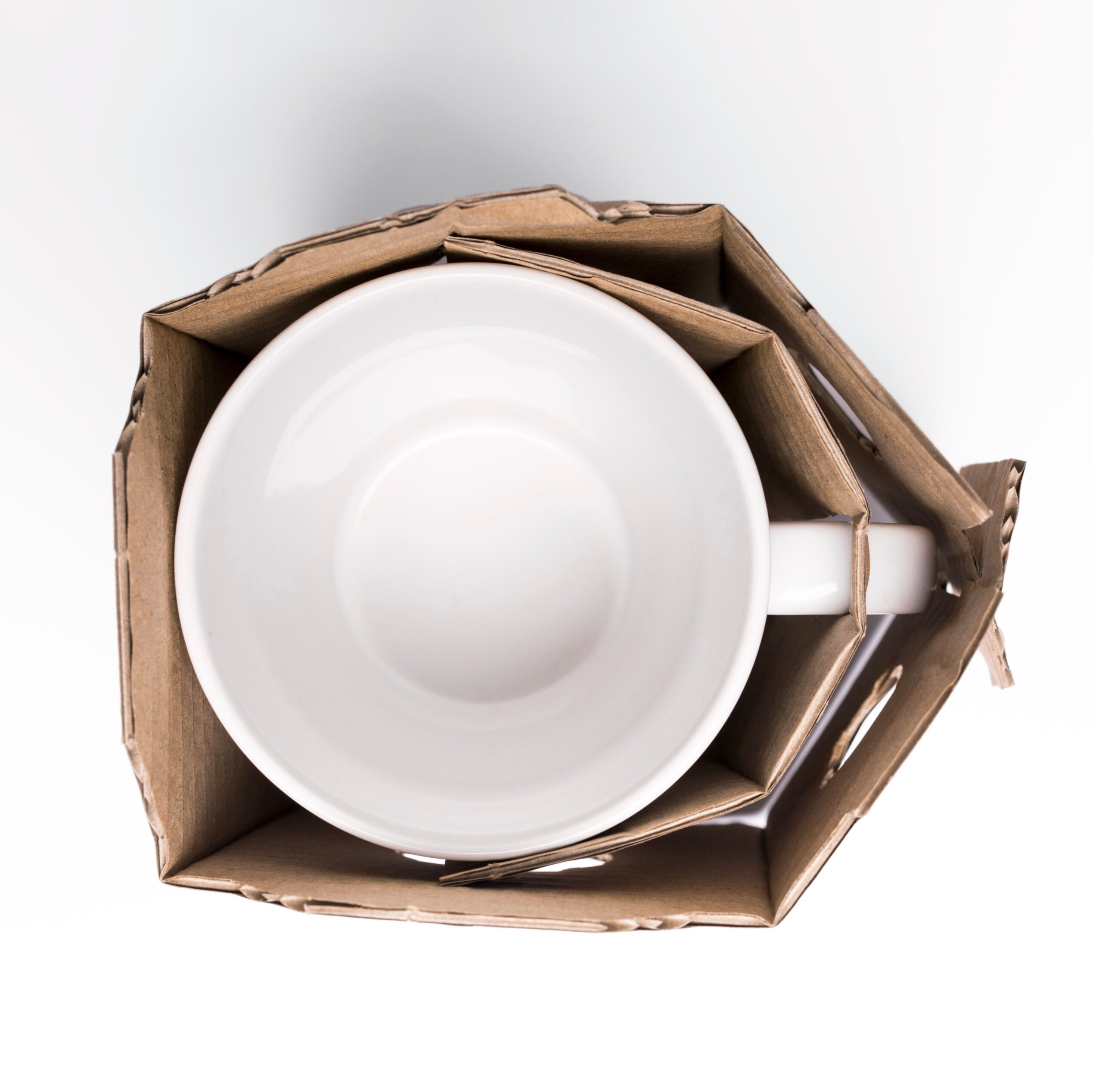 Regal, Renaissance Art Mug, Custom Art, Funny Art, Pet Portrait, Dog ...