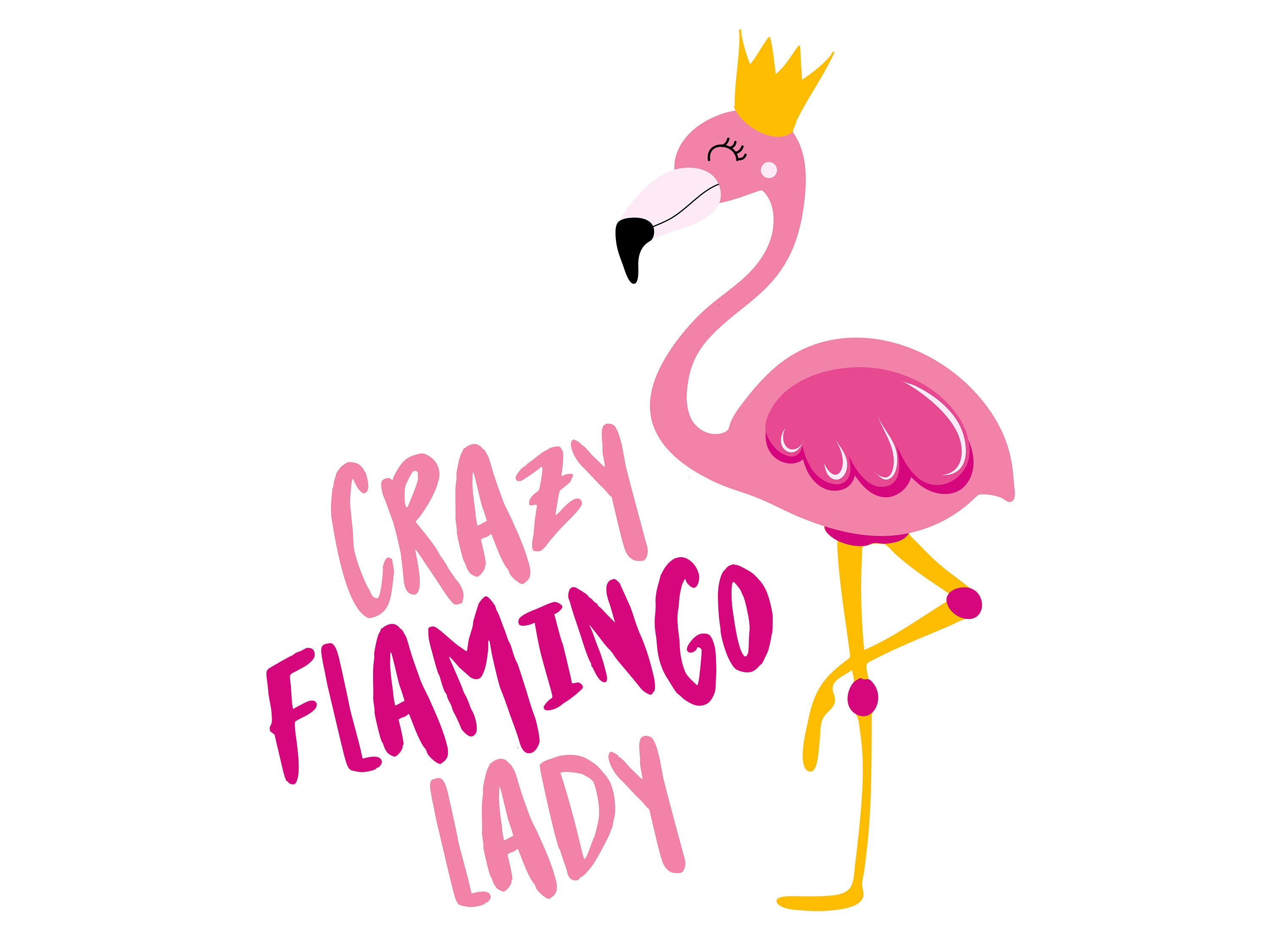 Crazy Flamingo Lady Custom 24x18 DOUBLE SIDED Yard Sign - Etsy