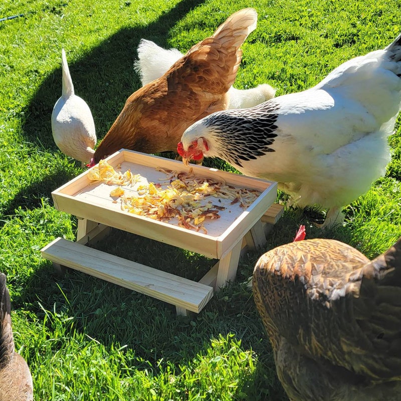 Chicknic Table - Etsy