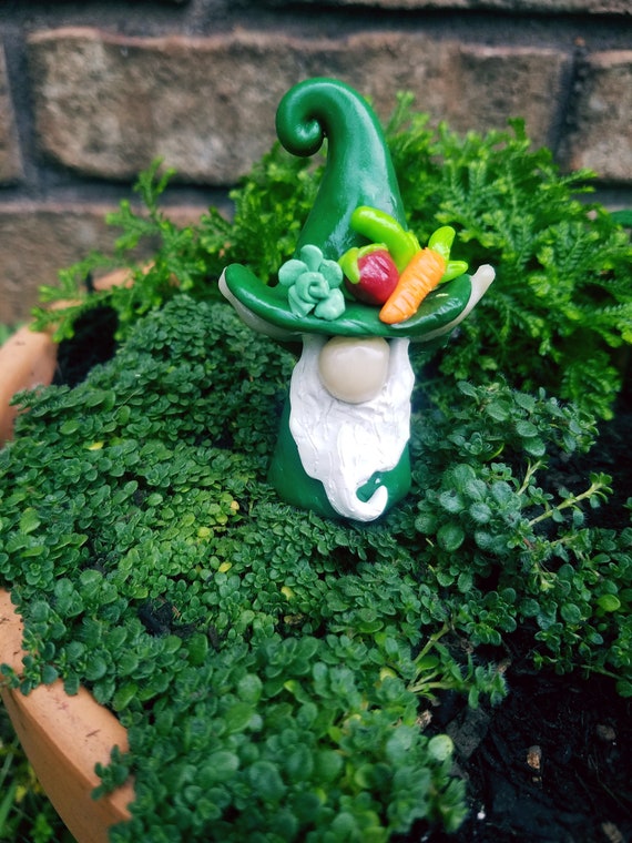 Eat Your Veggies Gnome | Etsy