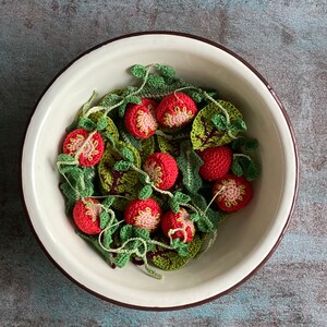 Crochet Italian Ravioli Pasta With Cherry Tomatoes and Beetroot Leaves ...