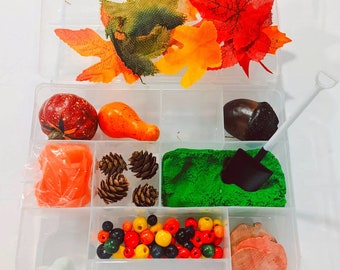 Fall Play Dough Kit Sensory Kit Fall Sensory Box Autumn - Etsy