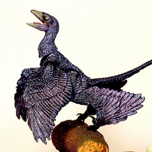 Microraptor plush - Etsy España