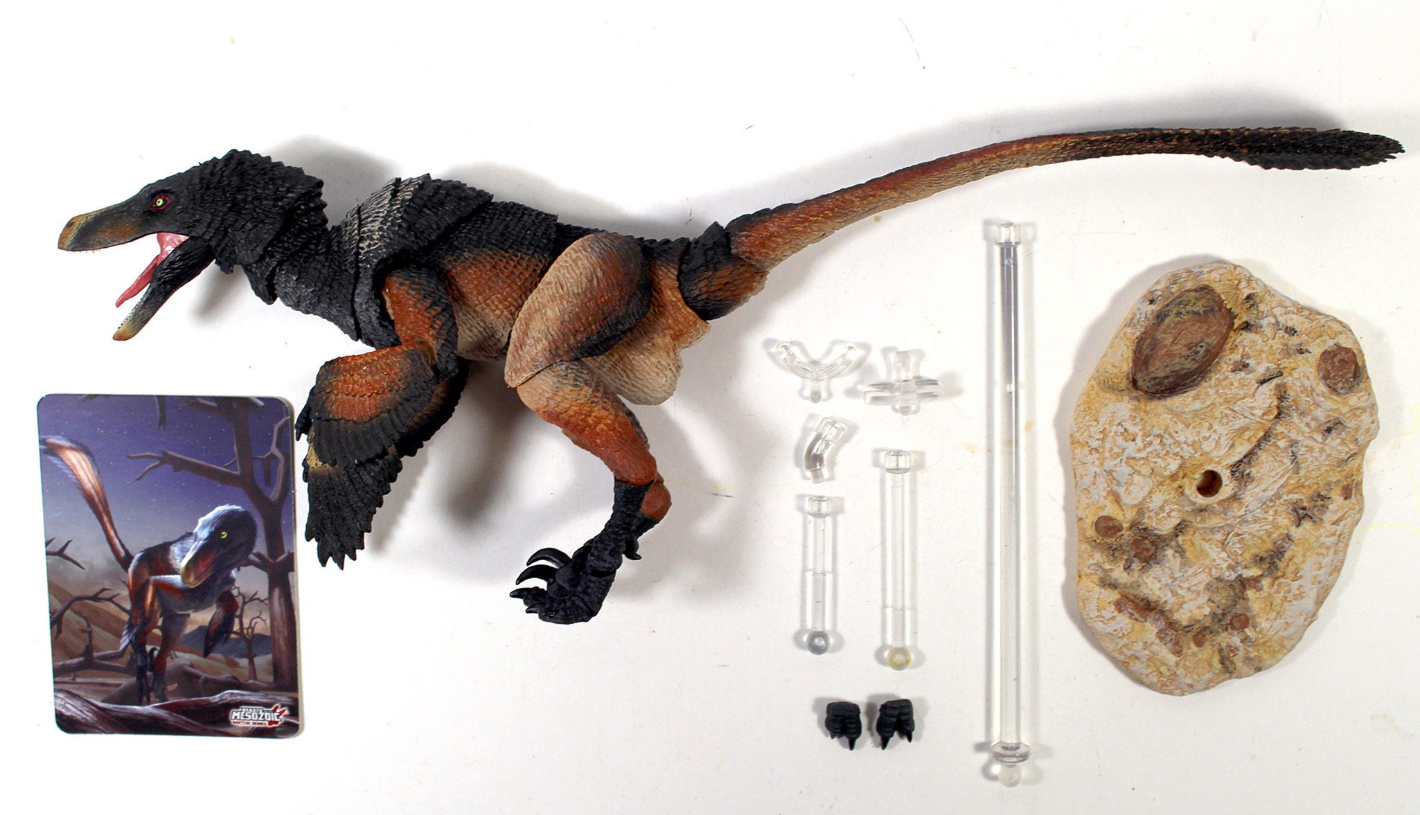 Toys Raptor Series Realistic Dinosaur Action Figure Collectible Toy ...