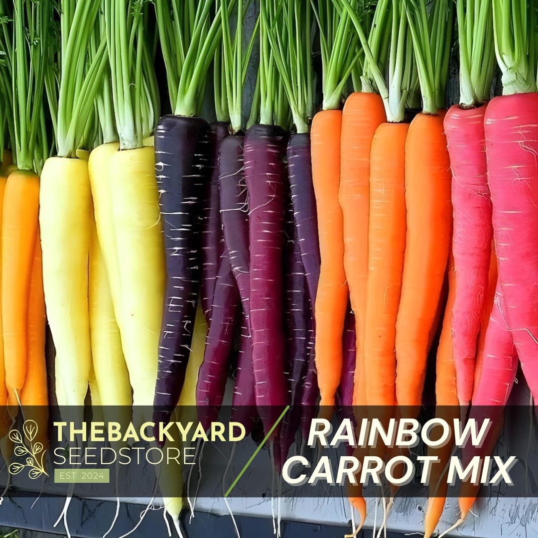 Rainbow Carrot Seed Mix: 5 Color Variety - 150+ Heirloom Seeds - Etsy