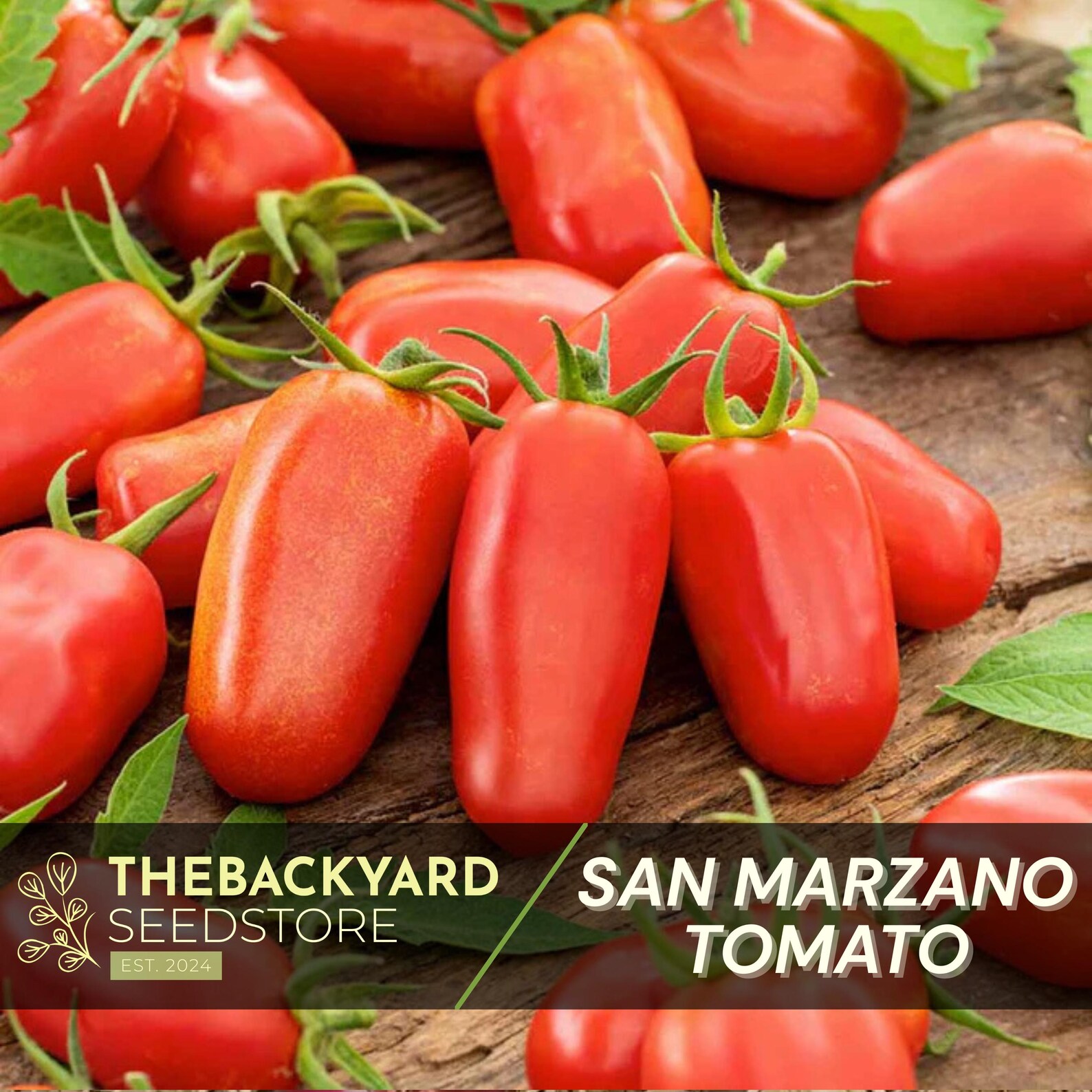 San Marzano Tomato Seeds - Heirloom Paste Tomato, Determinate Variety ...