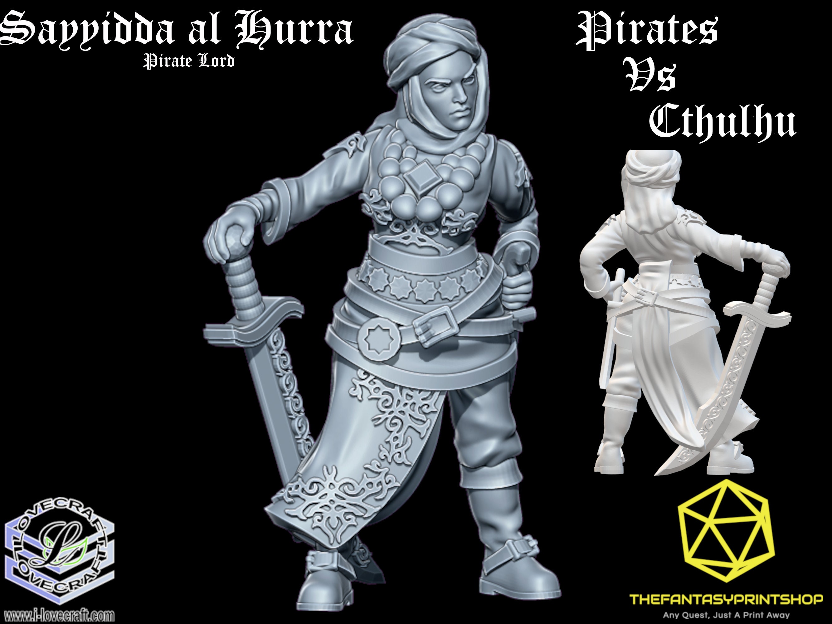 32mm Pirate MaleFemale Miniature for Tabletop RPG-Dungeons and Dragons ...