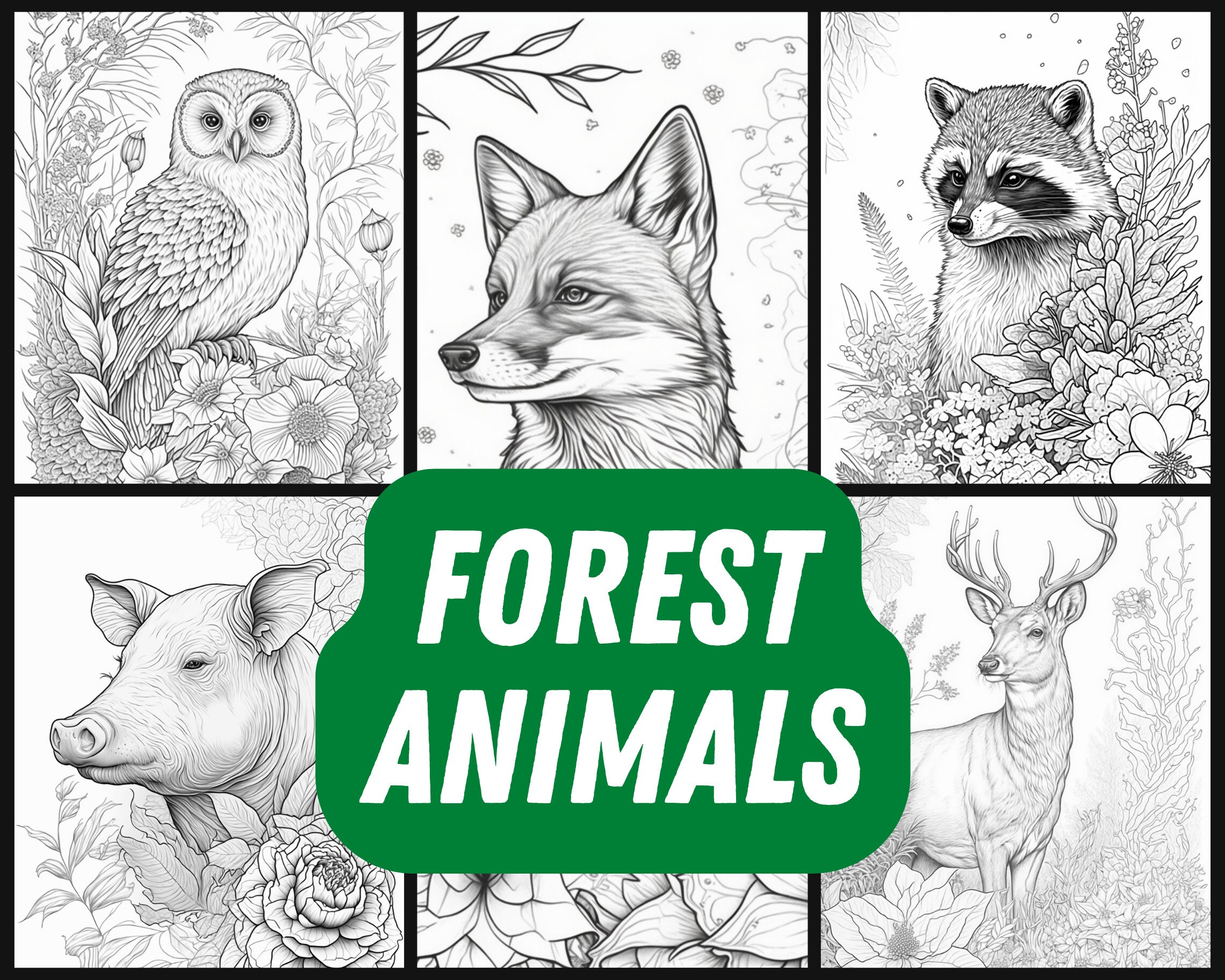 8 Coloring Pages of Animals From the Forest Instant Download Printable ...