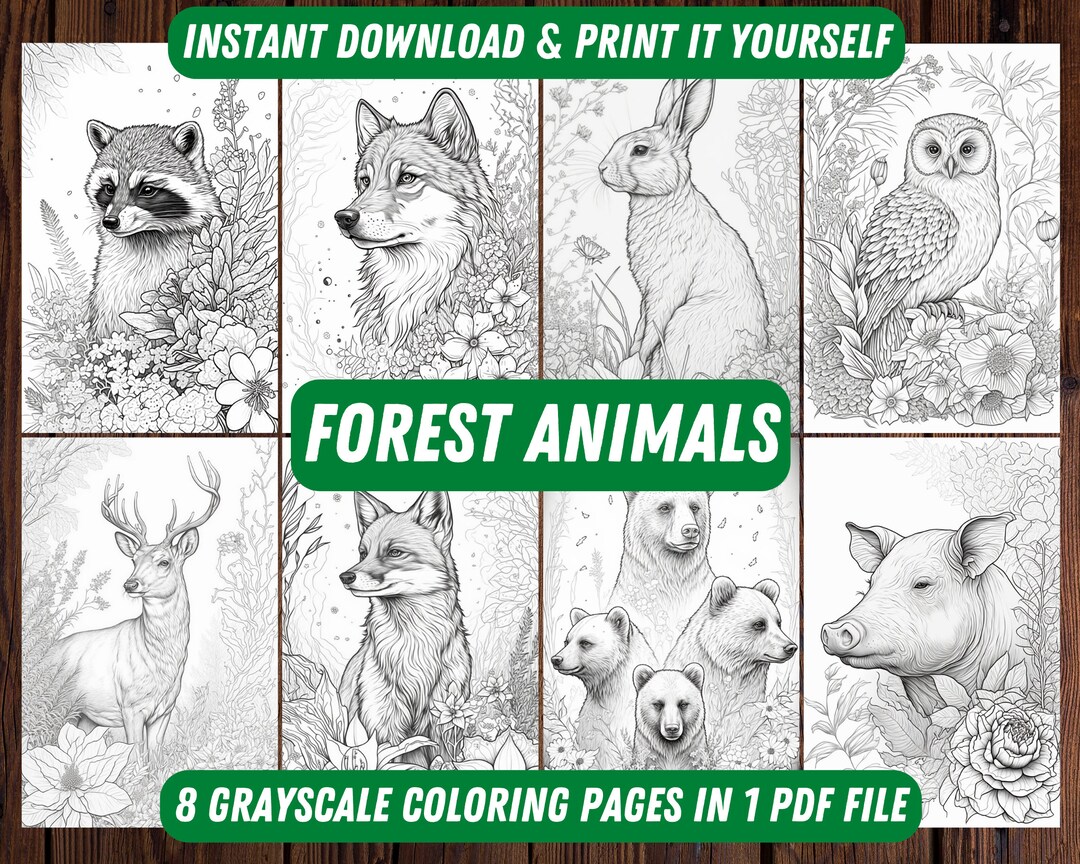 8 Coloring Pages of Animals From the Forest Instant Download Printable ...