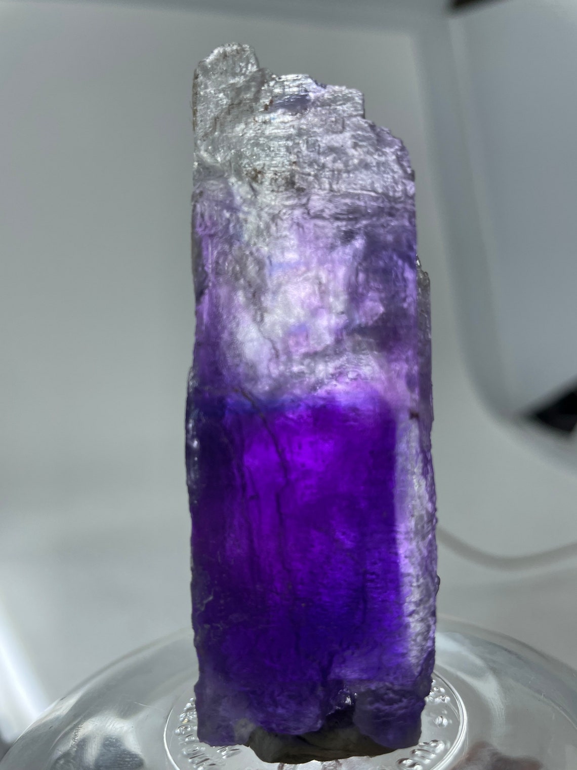 Halite Kerr Mcgee Purple Halite RARE Specimen New Mexico - Etsy