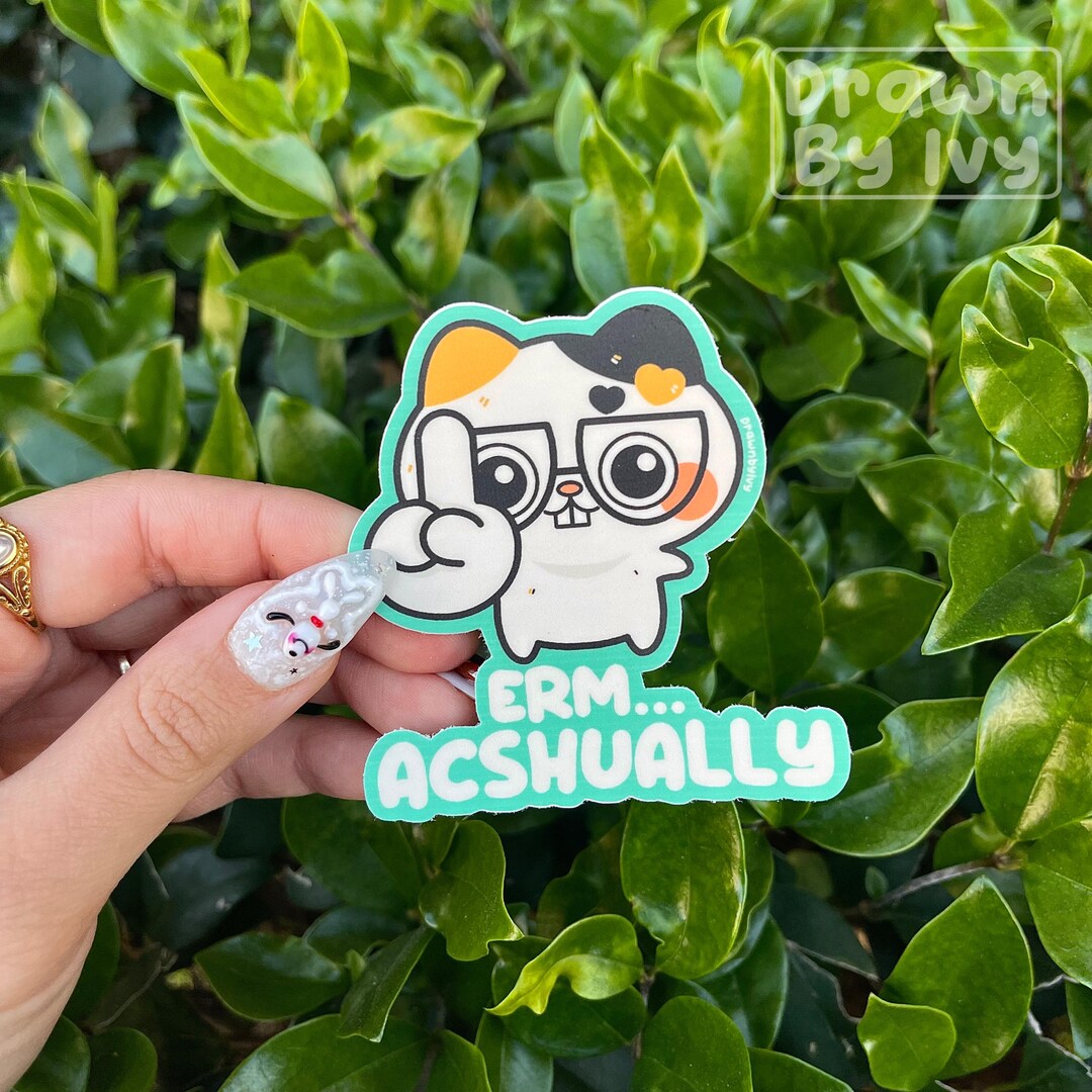 Erm..actually Cute Vinyl Sticker | Funny Kawaii Sticker | Weatherproof ...