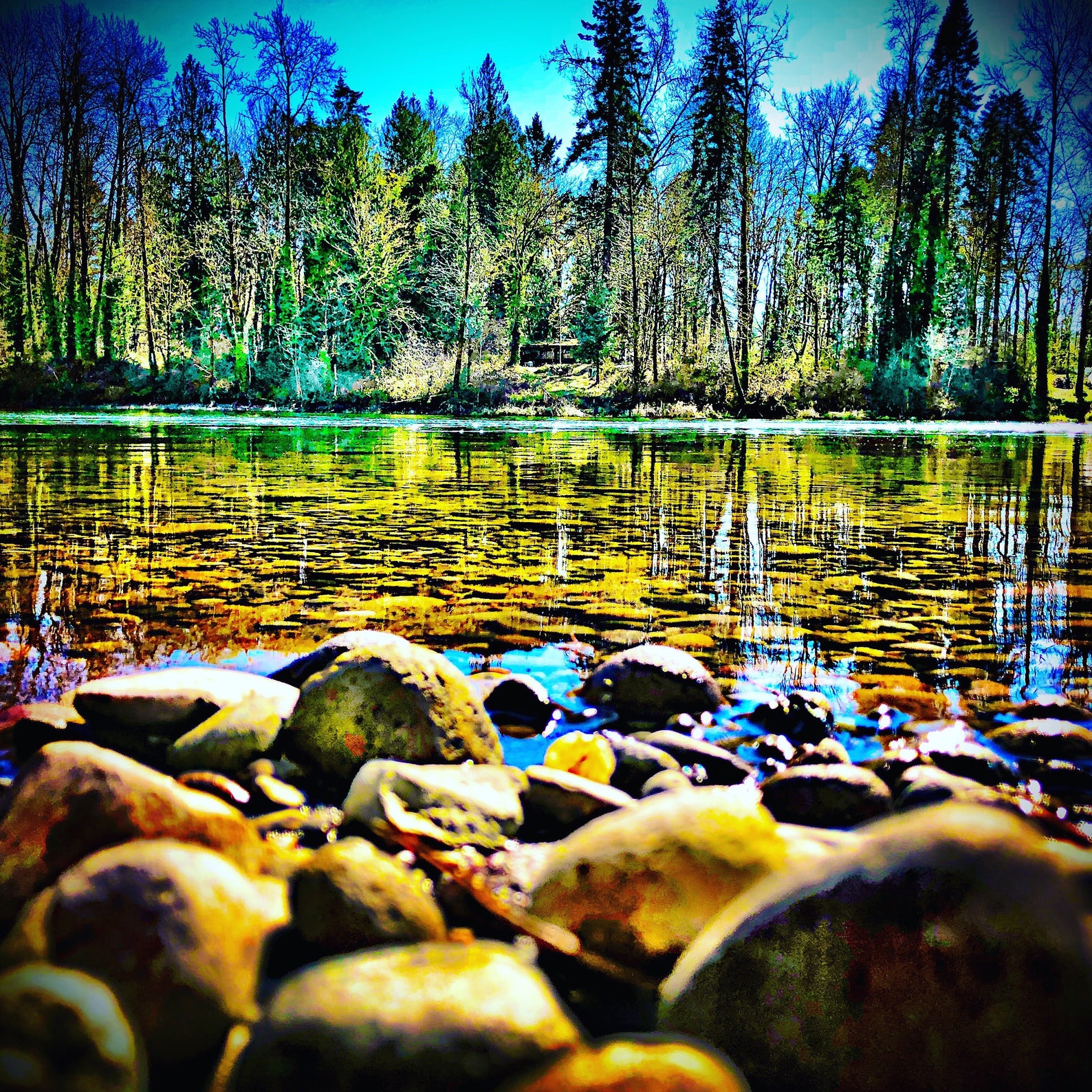 Author Signed Hard Copy picture Yourself Fishing By: - Etsy