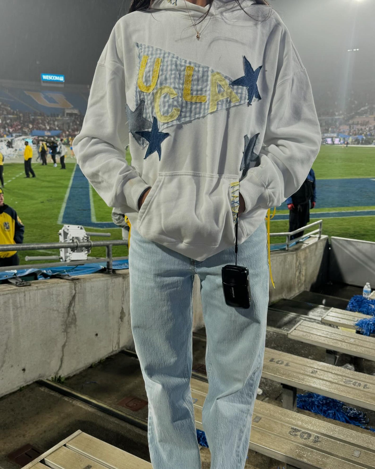 College Pennant Hoodie - Etsy