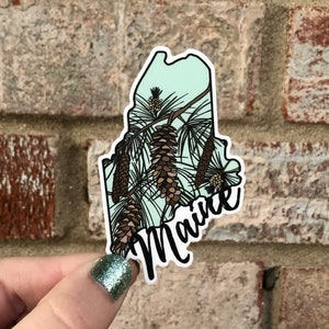 Maine State Flower Waterproof Vinyl Sticker | Matte Bumper Sticker ...