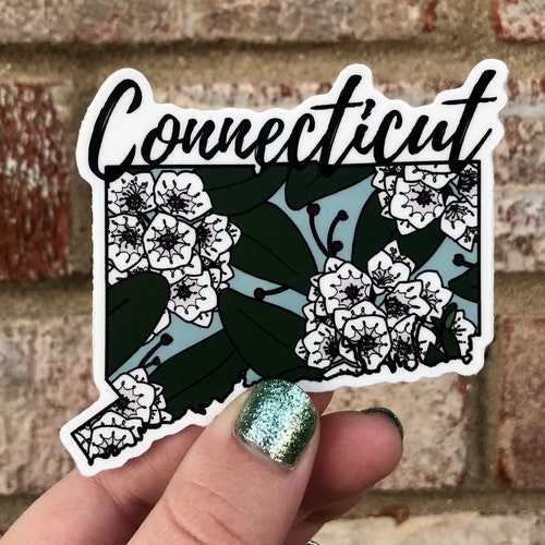 Connecticut State Die Cut Vinyl Sticker - Etsy