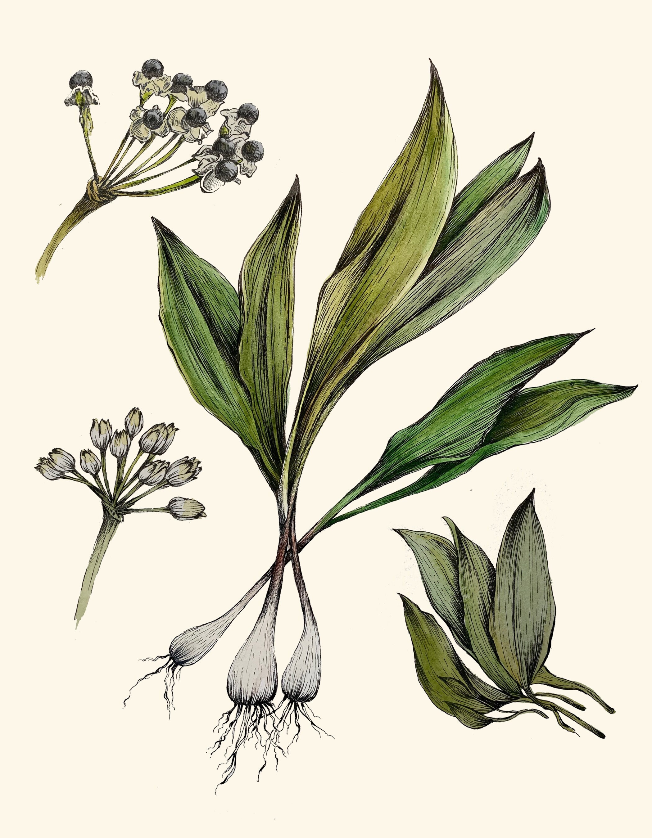 Ramps Print - Etsy