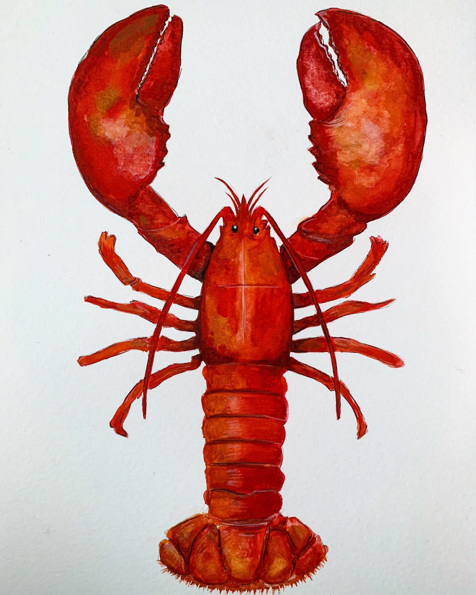 Lobster Print 18x13cm in White or Black 21x27cm Frame, Watercolour ...