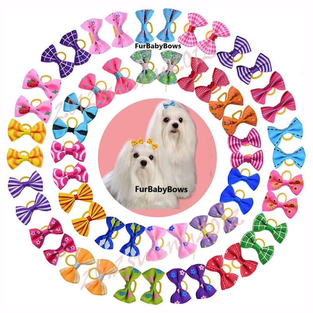 Dog Grooming Rubber Band 3/8 10mm for DIY Puppy Cat Dog 1 Free Hair Bow ...