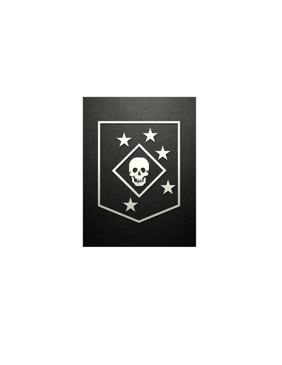 Marsoc Skull Logo