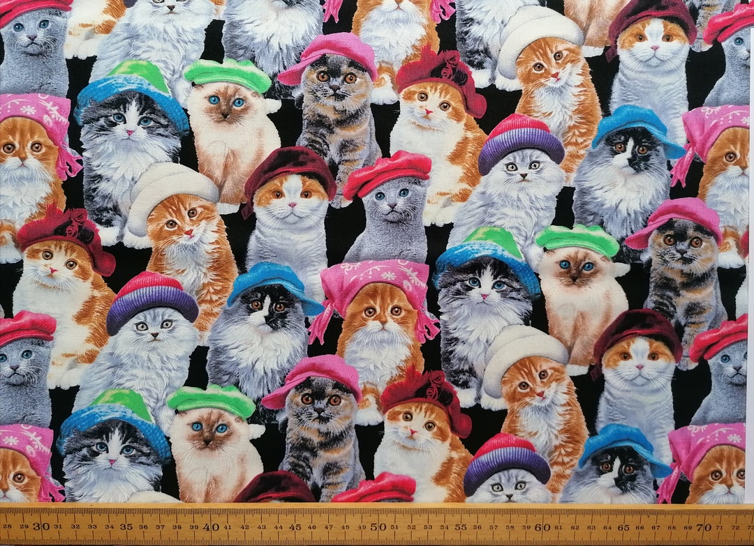 Cats in Hats, Adorable Pets by Elizabeth Studio, 100% Cotton, Quilting ...