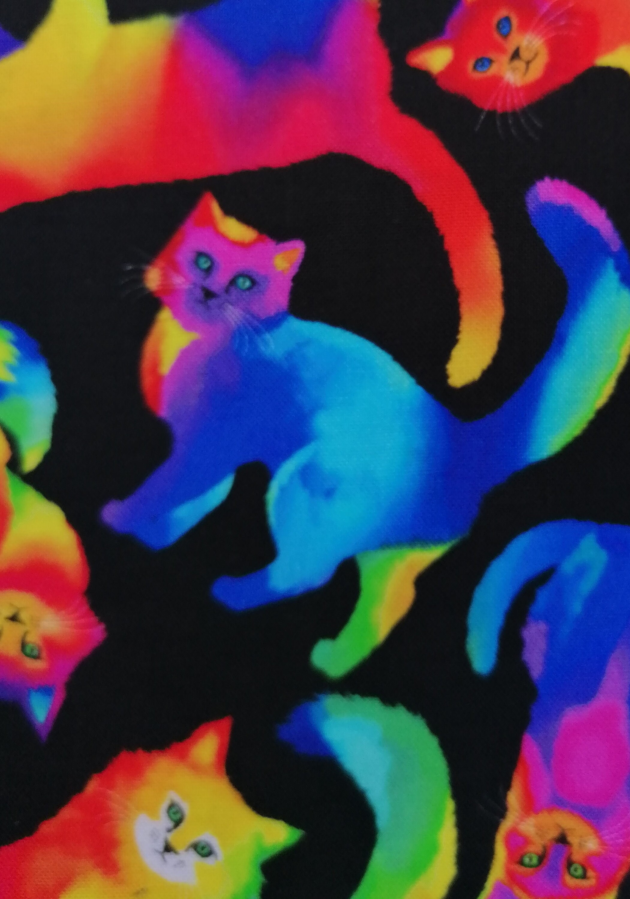 Neon Rainbow Cats on a Black Background 100% Cotton by - Etsy UK