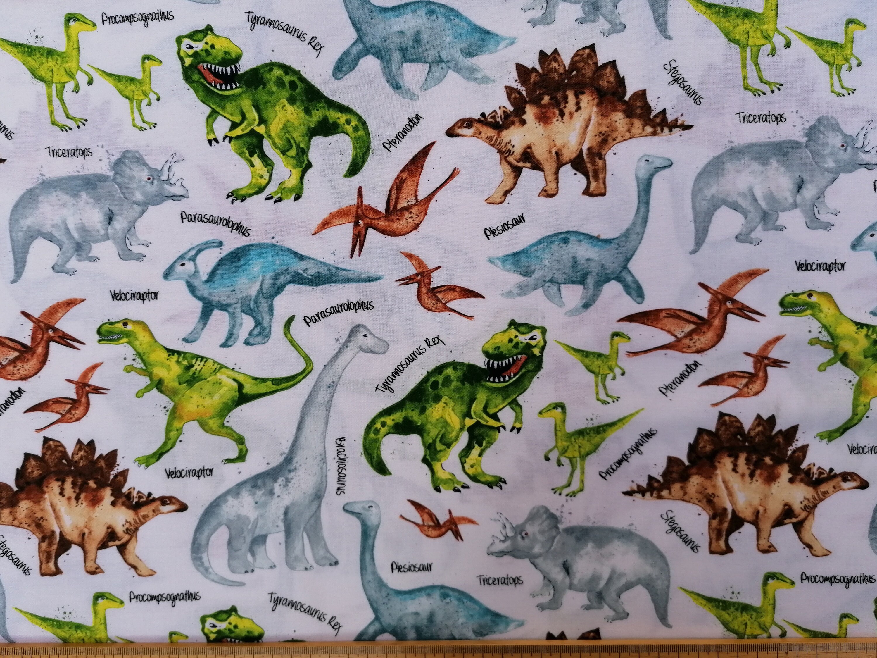 Dinosaur Cotton Fabric: Quilting, Dressmaking, Crafts, by Timeless ...