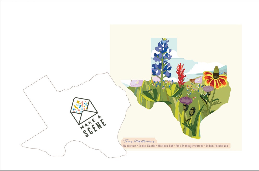 3D Texas Wildflowers Pop-up Card: Austin Art Gift - Etsy
