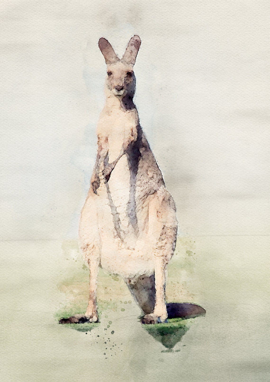 Kangaroo Australian Animal Watercolour DIGITAL DOWNLOAD - Etsy