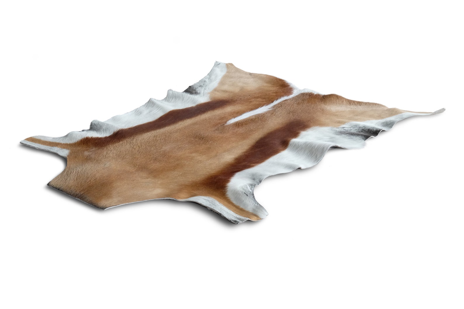 Springbok Skin Springbok | Etsy