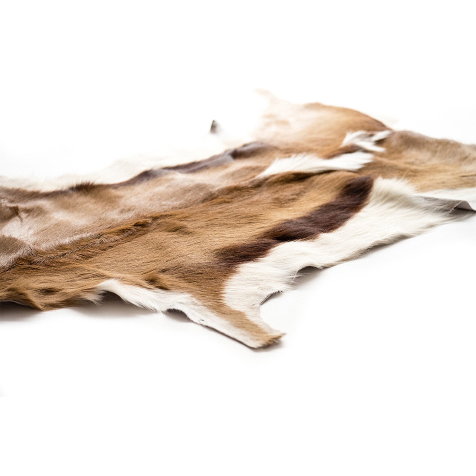 Springbok Skin Springbok | Etsy