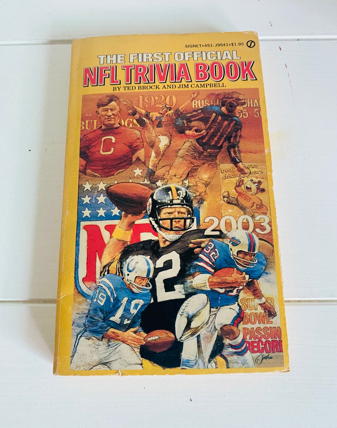 NFL Trivia Book the First Official Copyright 1980 by Ted Brock and Jim ...
