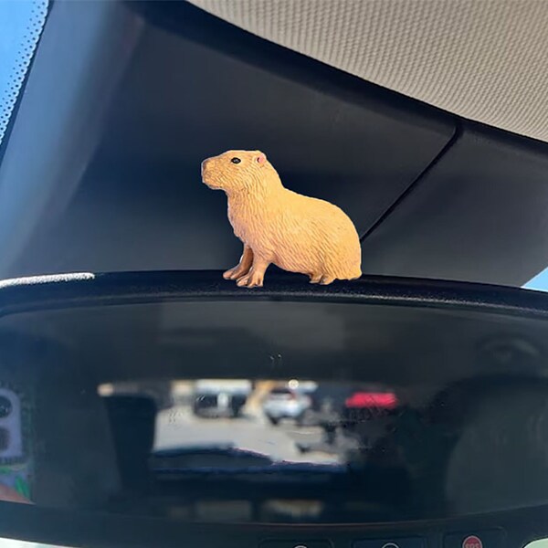 Capybara Garden - Etsy