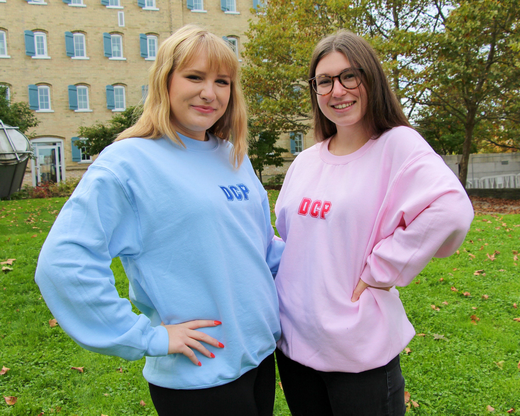 Disney College Program DCP PINK Embroidered Unisex Pullover Sweatshirt ...