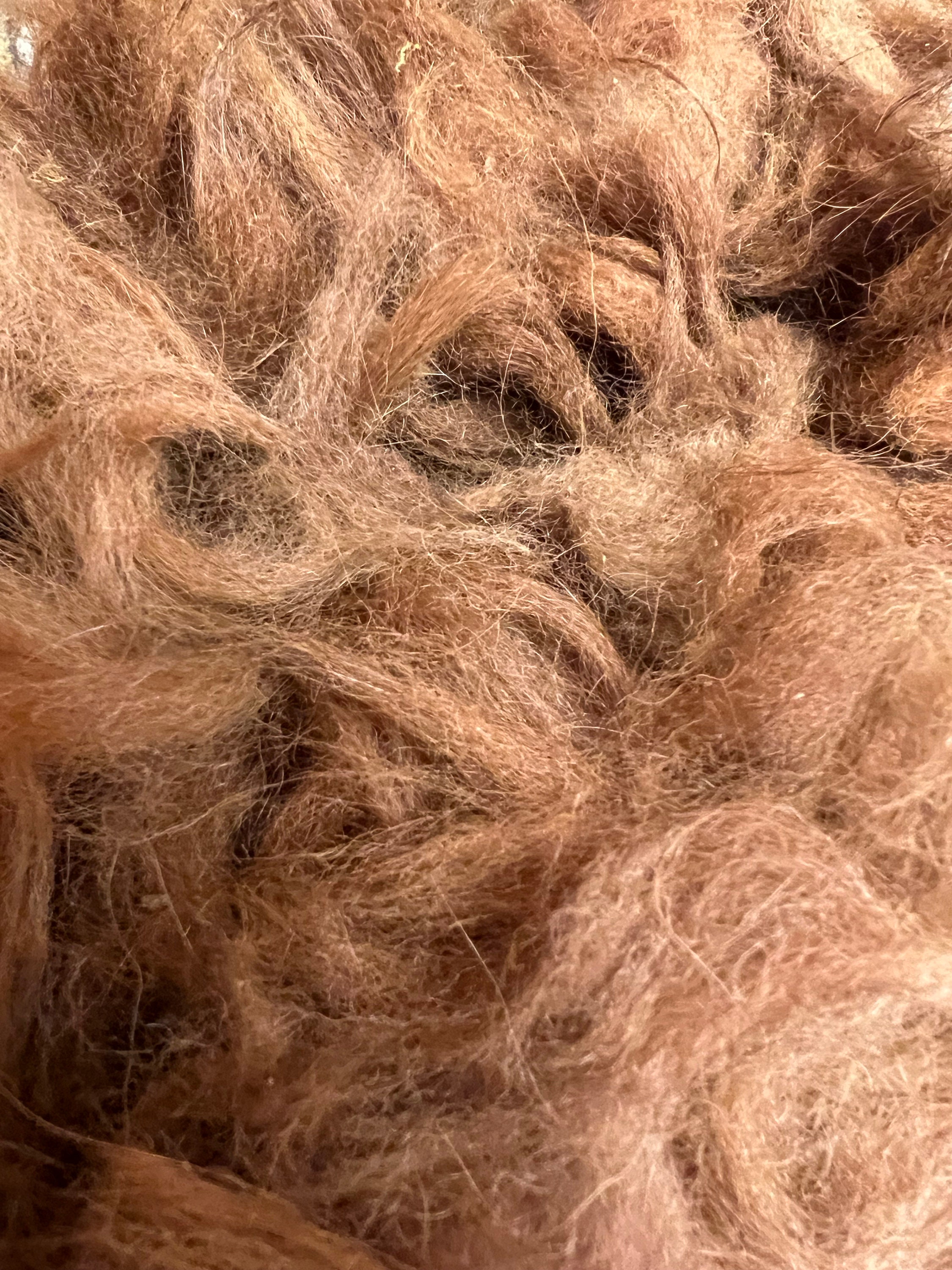 Llama Fleece / Wool / Hair - 4 Oz - Etsy